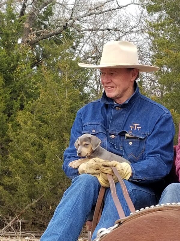 About Tom – Tom Curtin Horsemanship