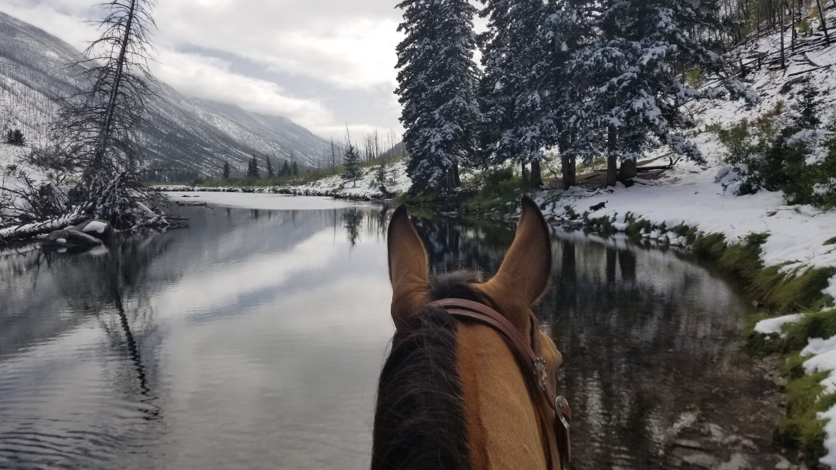 Tom Curtin Horsemanship – The Balance Between Horse and Rider