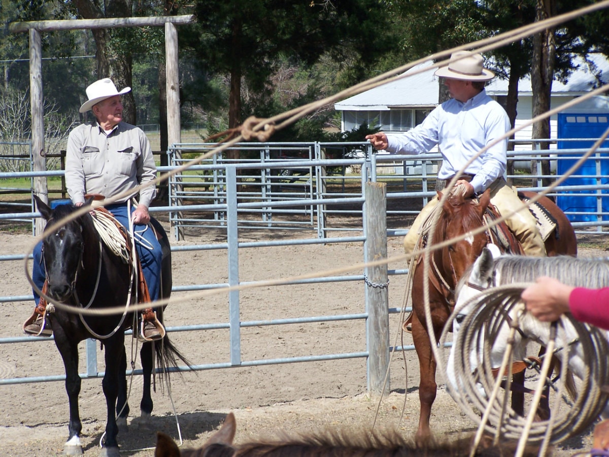 Media – Tom Curtin Horsemanship